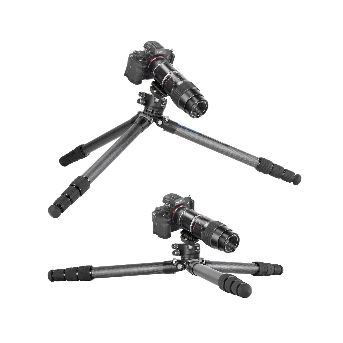 Leofoto Ranger LS-324C Carbon Fiber Tripod with Spider Bowl with LH-40 ...